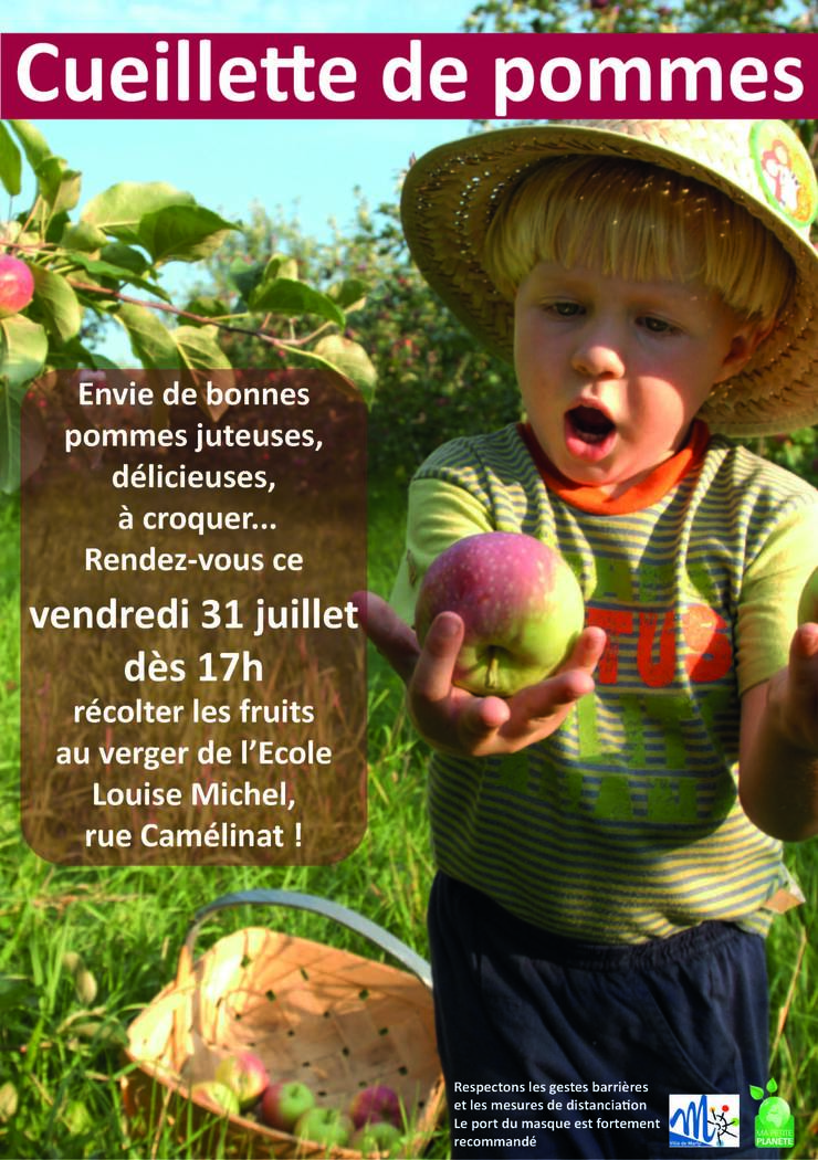 Cueillette de pommes au verger de l'Ecole Louise Michel